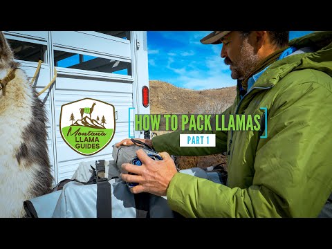 HOW TO PACK LLAMAS (PART 1)