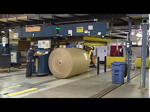 International Paper Infomercial (English Version)