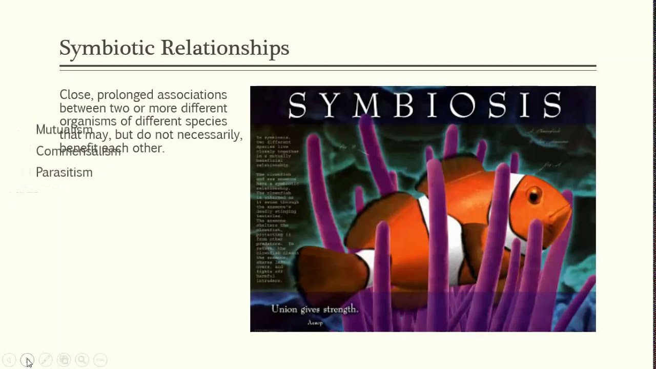 Chapter 5, Topic 1: Species Interactions