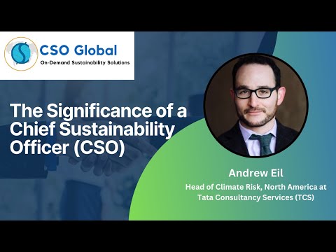 The Significance of a Chief Sustainability Officer (CSO)