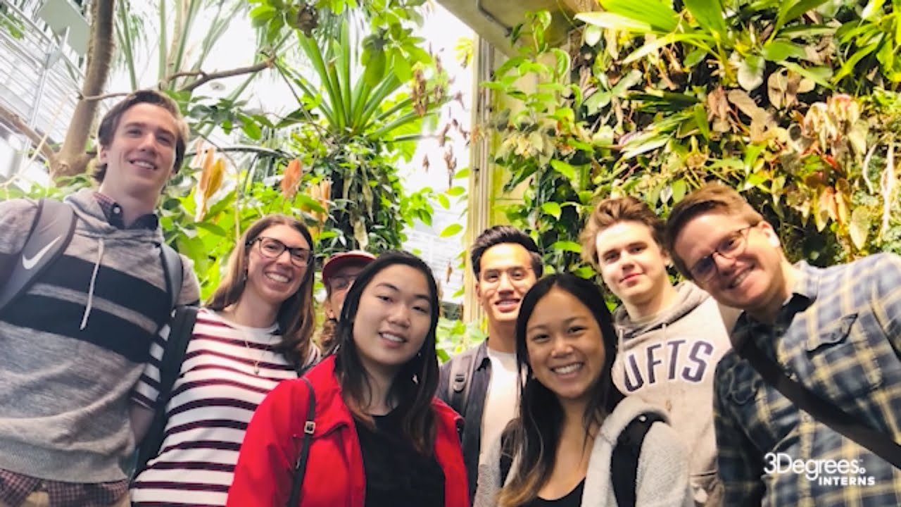 3Degrees Internship Program Overview