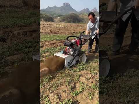 Small-sized tiller