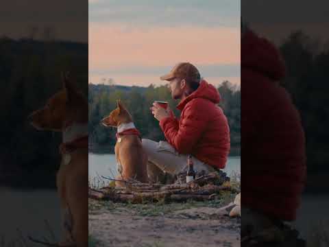 What is Glamping ? Glamping Explained in 60 Seconds 🏕️❗#Shorts