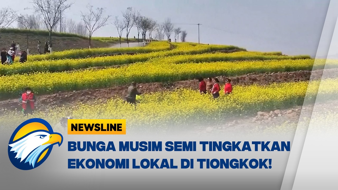 Mekarnya Bunga Musim Semi Dongkrak Pariwisata Lokal di Tiongkok - [Newsline]