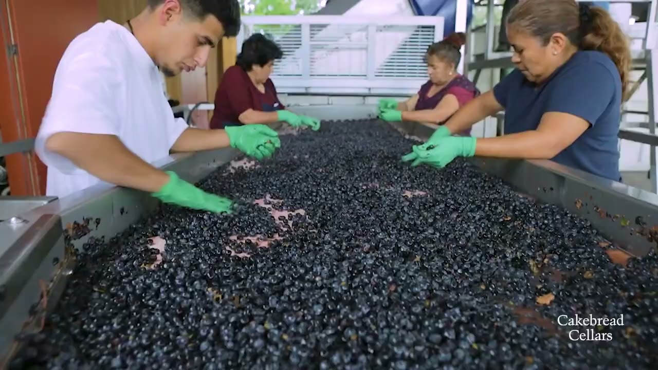 Cakebread Cellars Napa Valley Cabernet