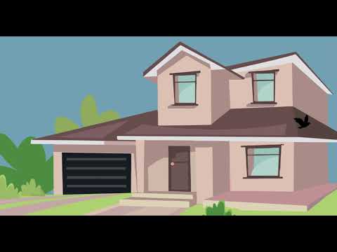 20 sec Animation Test | Jessica Elizabeth Animations