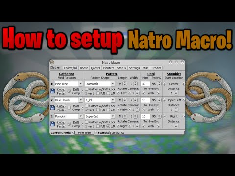 How to install and setup Natro Macro! *2025* | Roblox Bee Swarm Simulator