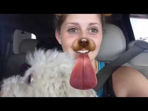 Kriser's Natural Pet Store