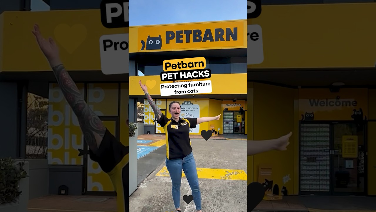 How to stop your cat scratching furniture | Petbarn Pet Hack #pethacks #catadvice #catowner