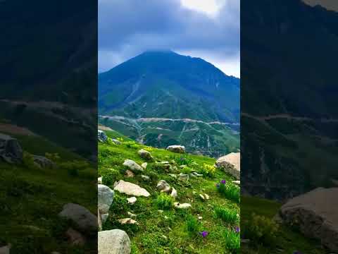 Green mountains and stream in Pakistan #love #nature #capitalpark #pakistan #travel #beautiful #fyp