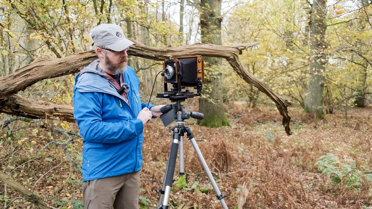 Large Format Woodland Large Format