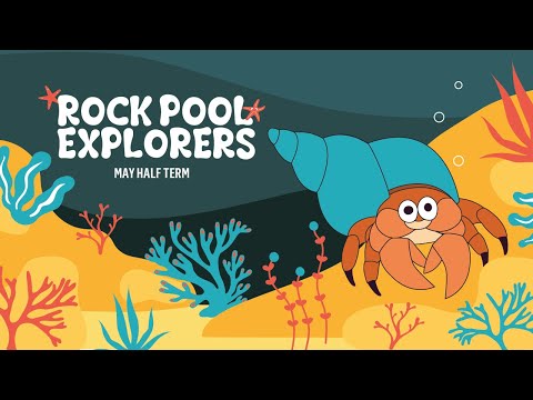 Rock Pool Explorers – May Half Term 2024