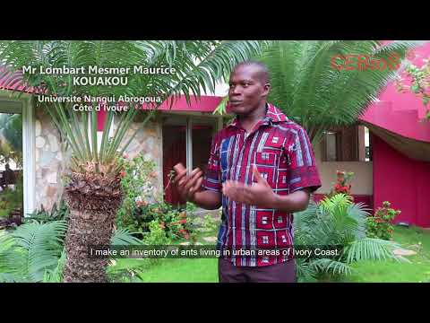 Description of taxonomic research of GTI alumni