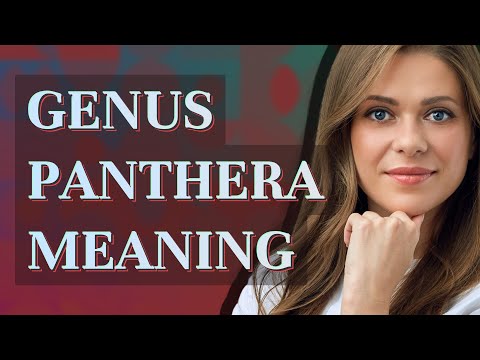Genus panthera | meaning of Genus panthera