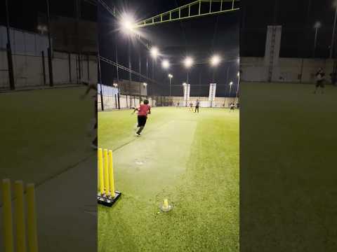 Turf Cricket #cricket #india #turfcricket #turf #bat