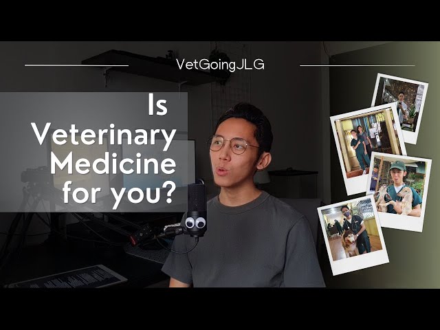 Five Essential Considerations Before Pursuing Veterinary Medicine in ...