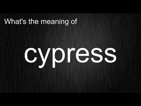 What's the meaning of "cypress", How to pronounce cypress?