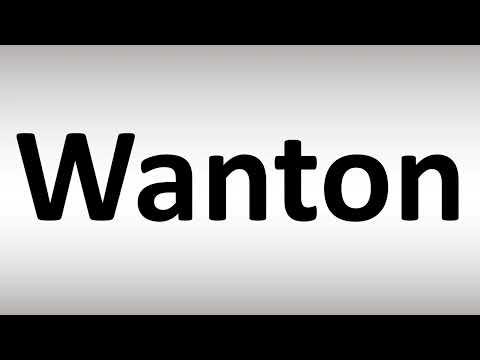 How to Pronounce Wanton?