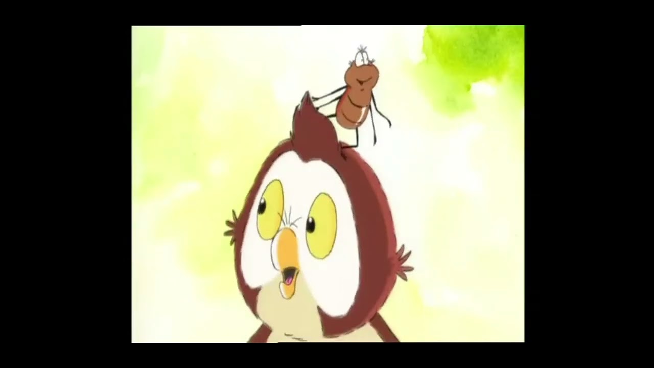 Wide Eye Intro (2003)