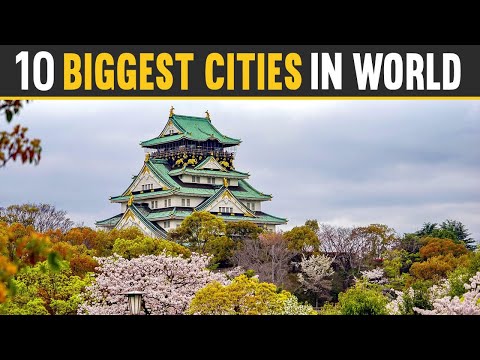 Top 10 Biggest Cities in the World 2023 By Population & Area