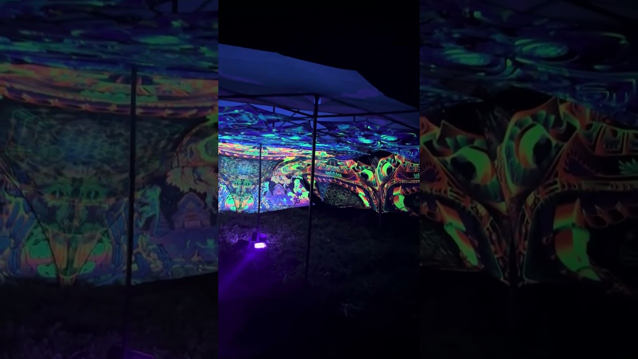 IVS Prototype – Setup In Practice