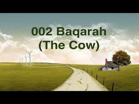 Surah Baqarah 002 (The Cow) in only Urdu