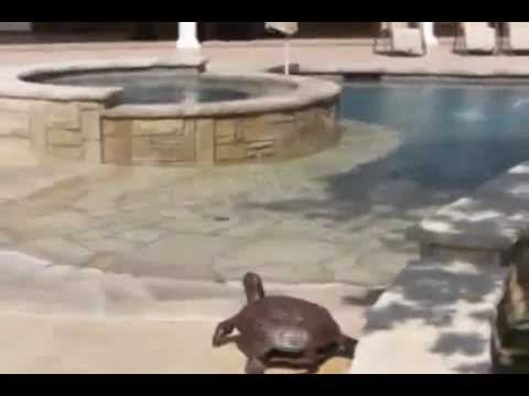 Swimming Pool Prices Brownwood Texas 325-647-9832