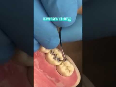 RELLENO DENTAL EN INGLÉS | Interpretación Consecutiva Medica