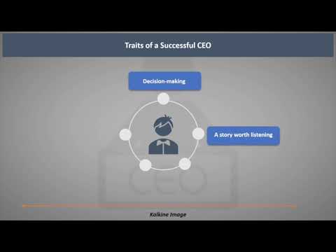 Who is a CEO (Chief Executive Officer)?