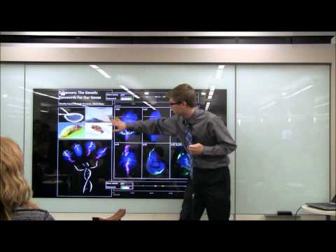 Tim Fuqua - University of Iowa - Three Minute Research Story Competition