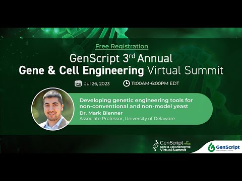Developing genetic engineering tools for non-conventional and non-model yeast