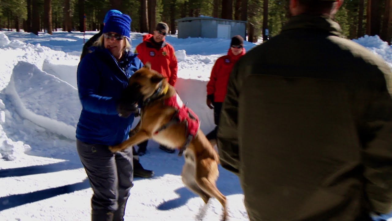 Winter Search and Rescue Exercise