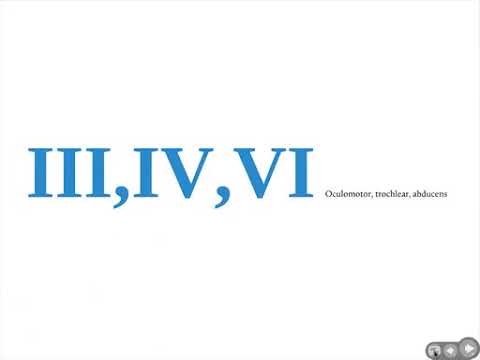 Neurology - cranial nerves
