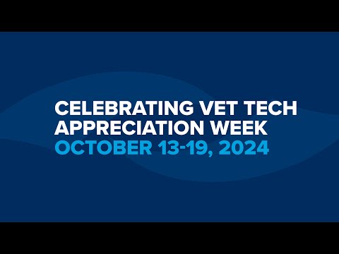 2024 Vet Tech Appreciation Week Shoutouts from DVMs