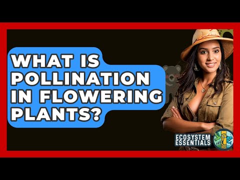 What Is Pollination In Flowering Plants? - Ecosystem Essentials