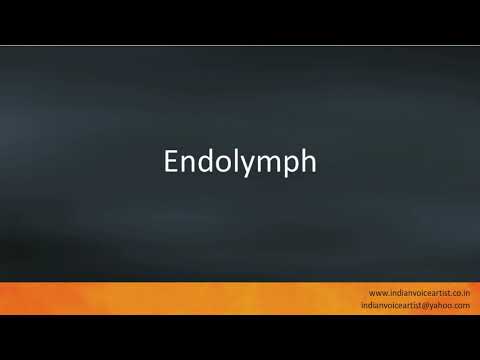 Pronunciation of the word(s) "Endolymph".