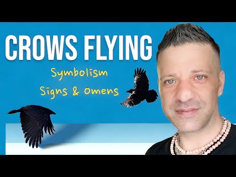 IF YOU SEE A CROW FLYING WHILE MAKING AN IMPORTANT DECISION | Symbolism | Signs & Omens