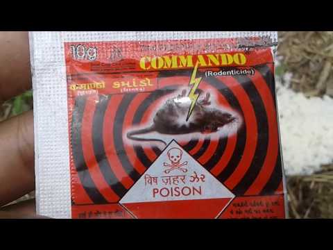 Rodenticides at Best Price in India