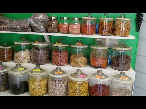 Fancy Fresh Food Shop