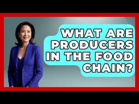 What Are Producers In The Food Chain? - The Marine Life Explorer