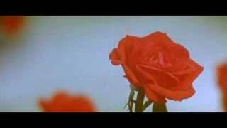 Spasmo - movie: where to watch streaming online