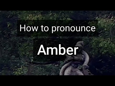 How to Pronounce Amber