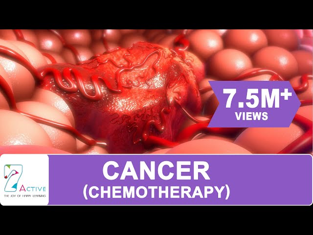 Pharmaceutical Tablets - Dasatib 50 Mg Wholesaler from Pune