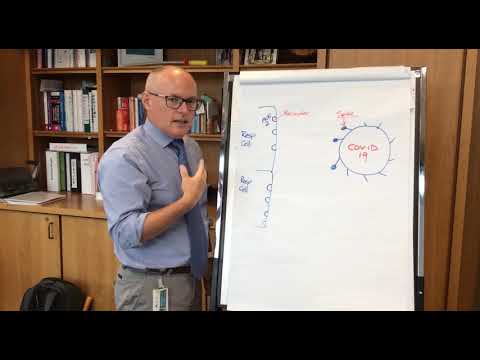 What is an ACE-2 Receptor?