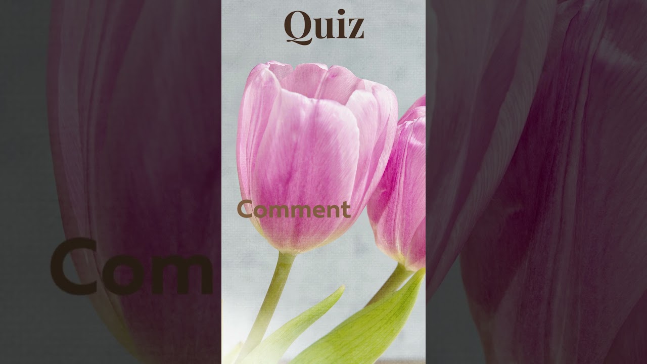 French Quiz: How Do You Say 