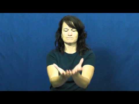 American Sign Language ASL Video Dictionary - barrow