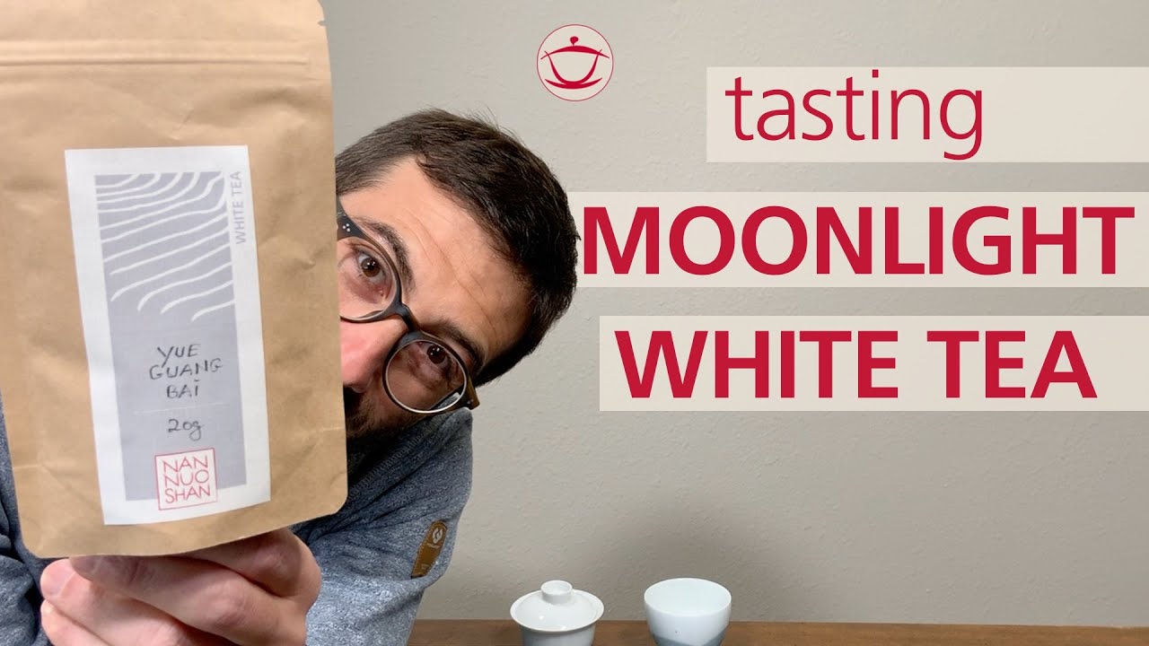 TEA TASTING: Moonlight White Tea (Yue Guang Bai)