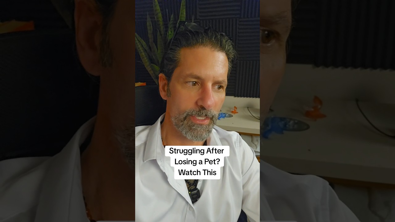 Struggling After Losing a Pet? Watch This