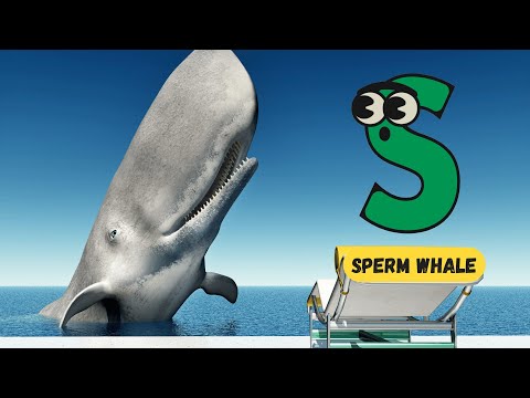 Ocean Giants ABC Song | Shark, Whale, Dolphin | Alphabet Song for Kids | #abcd #kids #learning