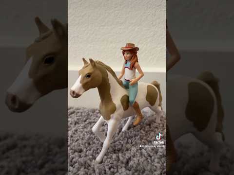 I did this with my friend #horses #schleich @Rilee-tq2ys